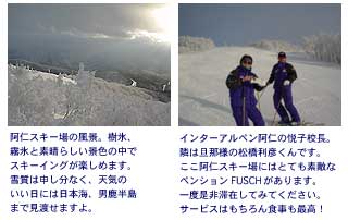 Senses by Aki Murasato 2004/01/08 あけましておめでとう2004